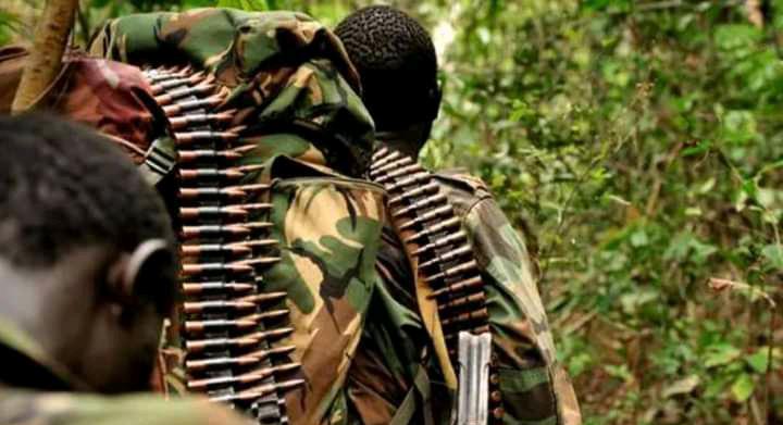Nord-Kivu : L'armée capture 2 miliciens Maï-Maï à Butembo - Actu30